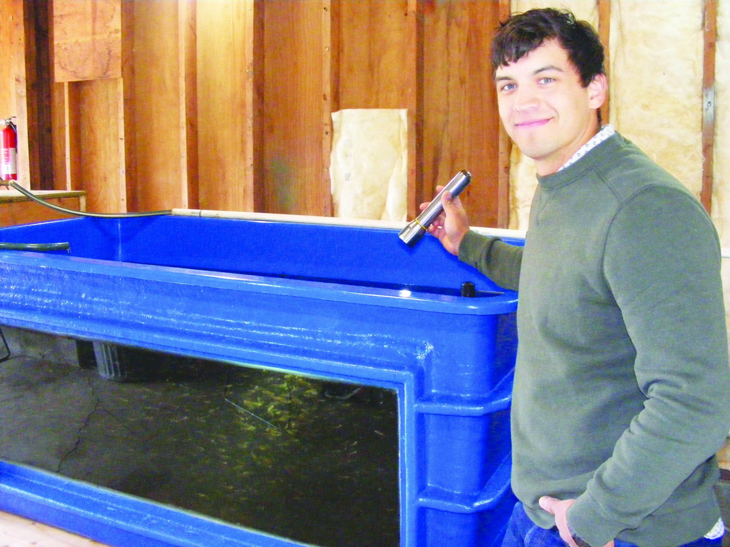 Thousands of baby Coho salmon released into Hall Lake - Lynnwood Times