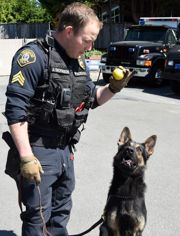 To protect, serve, and play: Lynnwood police dogs are on duty ...