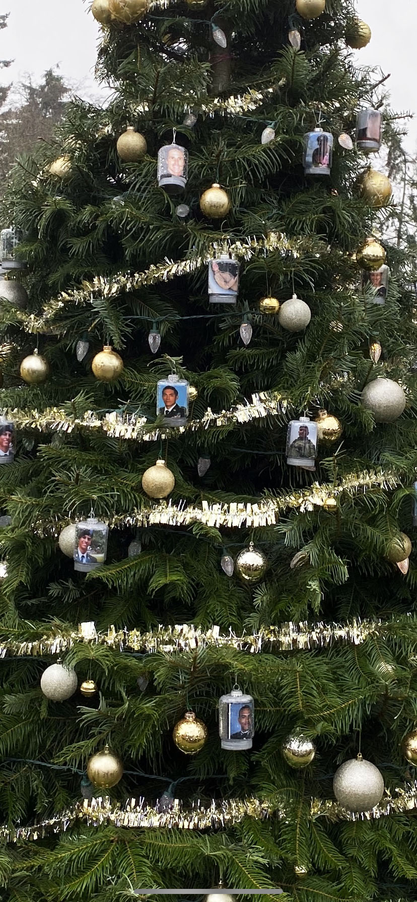 Send holiday cards to Gold Star Families - Lynnwood Times