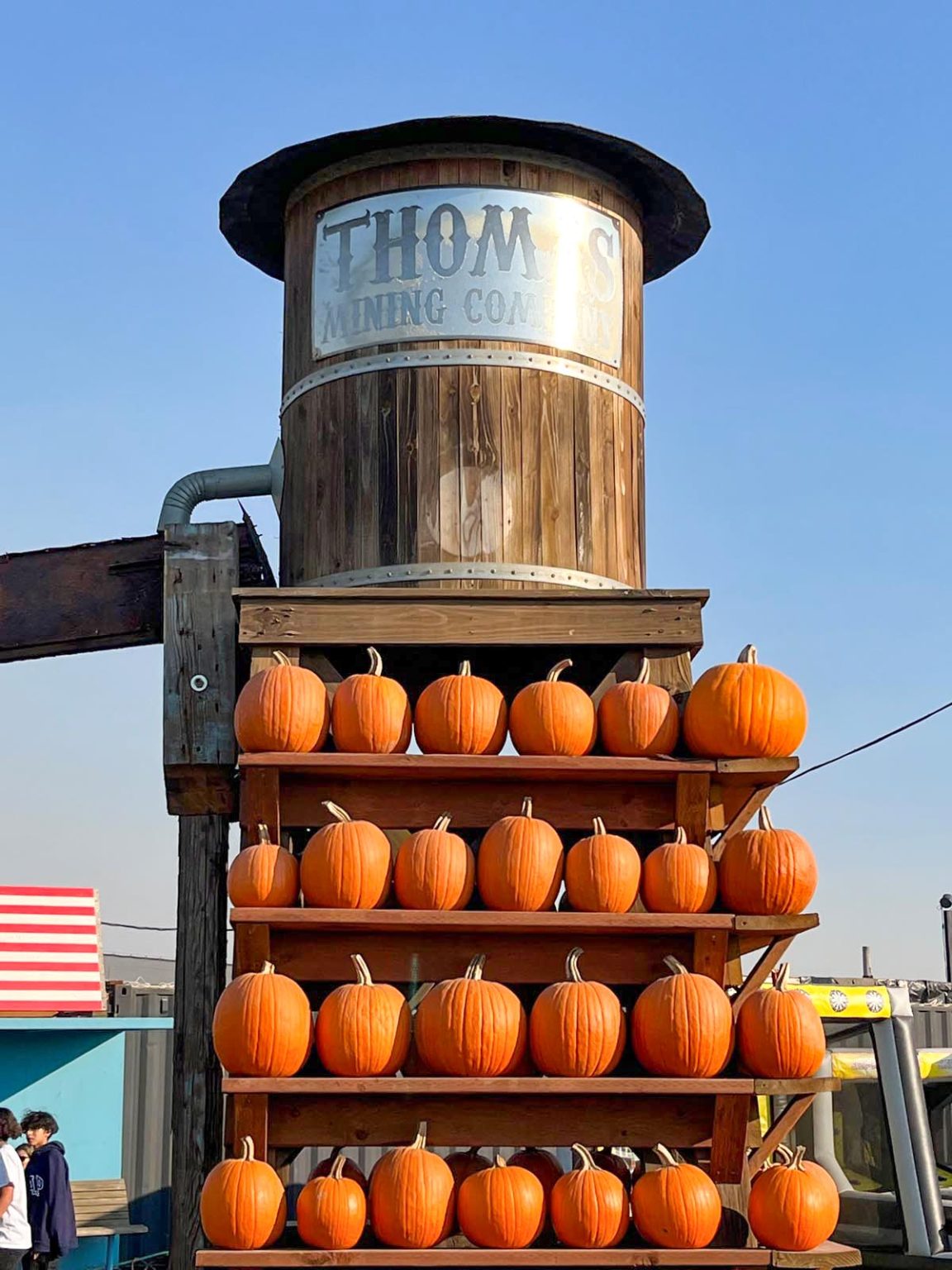 Thomas Family Farm: A must-go Halloween experience for all ages - Lynnwood Times