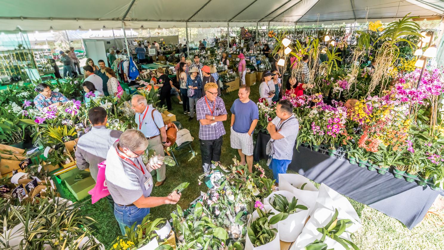 Northwest Orchid Plant Festival coming to Lynnwood Event Center ...