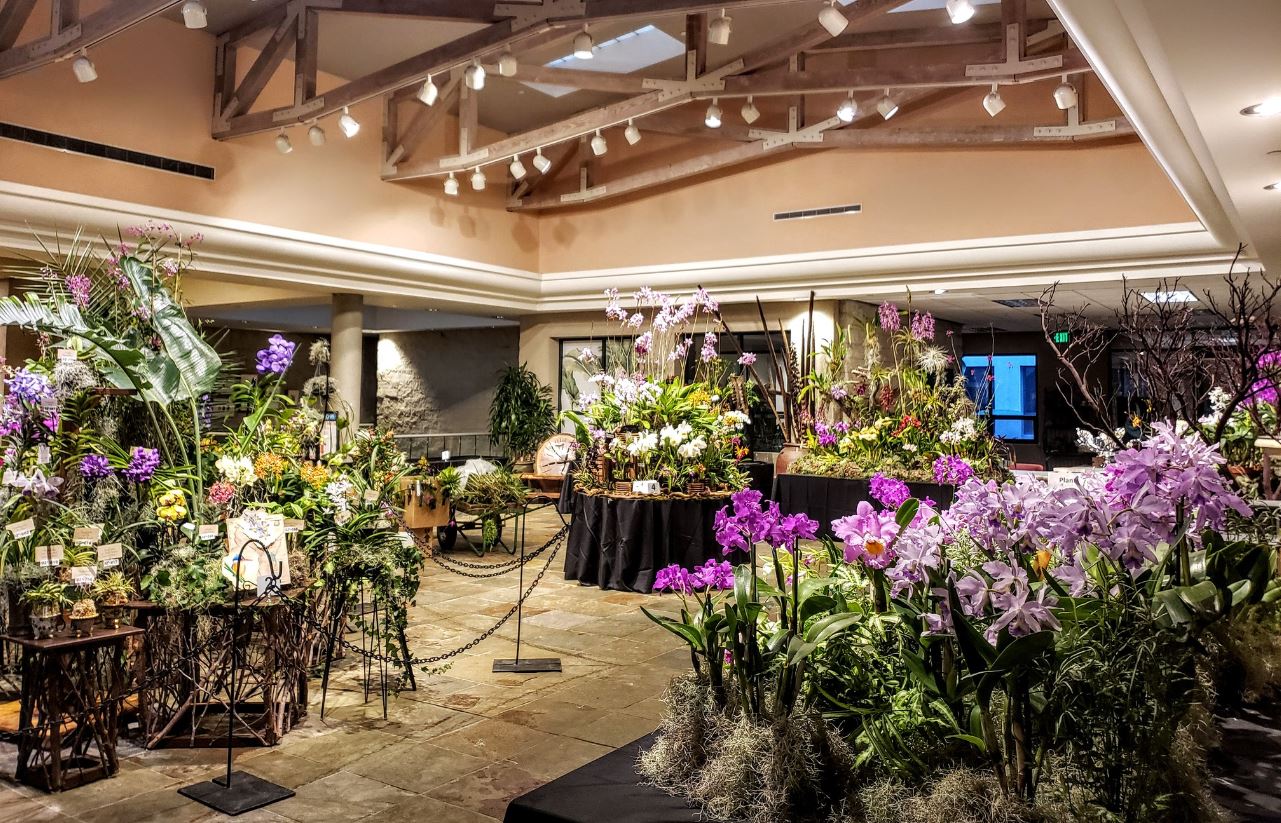 Northwest Orchid Plant Festival coming to Lynnwood Event Center ...