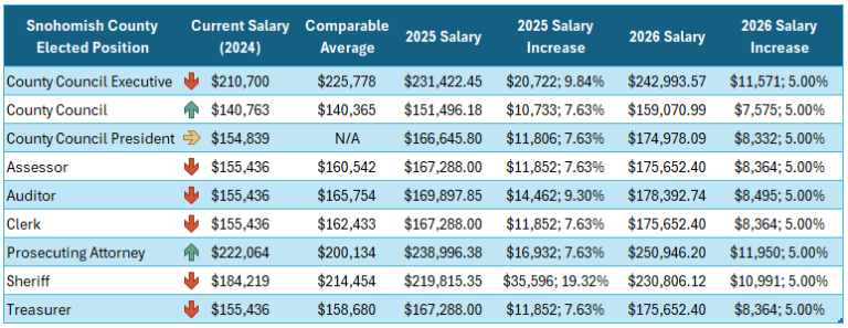 Salary commission approves $230,000 in pay raises for elected officials ...