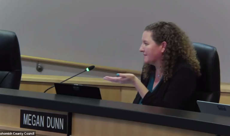 Snohomish County Council approves ordinance to ban sale of fireworks ...