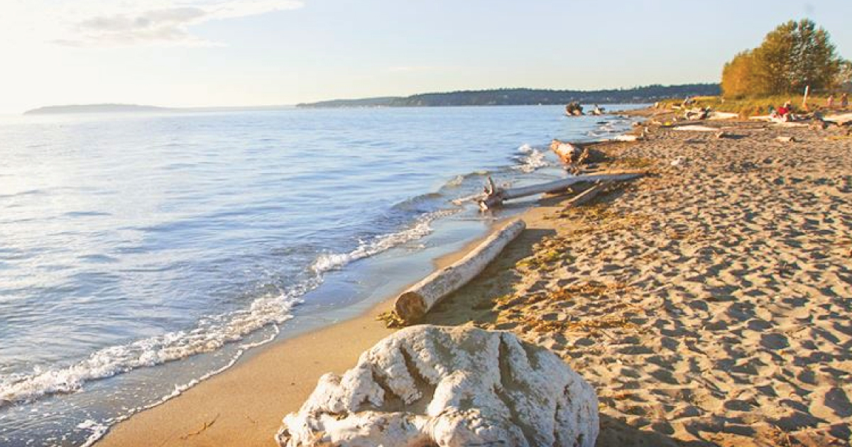Jetty Island Days returns July 5, ferry reservations open now ...