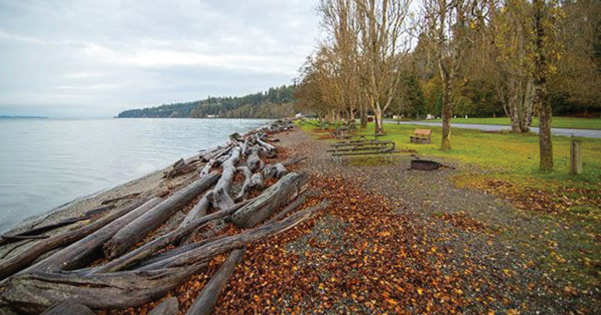 Kayak Point Regional Park to open on June 14 - Lynnwood Times