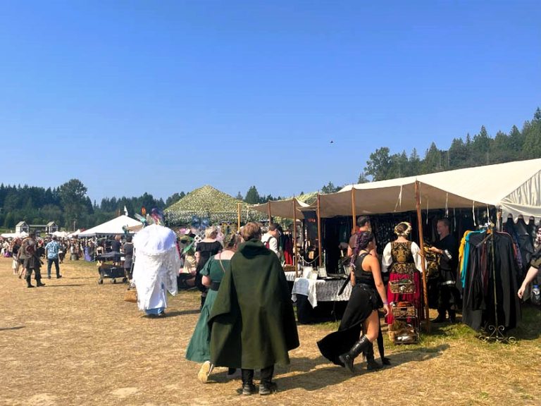 Enjoy the Renaissance Faire in Snohomish? Want to get involved? Consider volunteering - Lynnwood ...