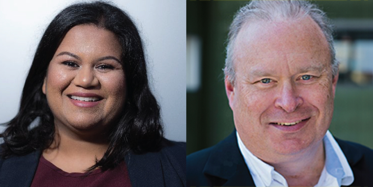 Party chairs weigh in on why to vote red or blue this election ...