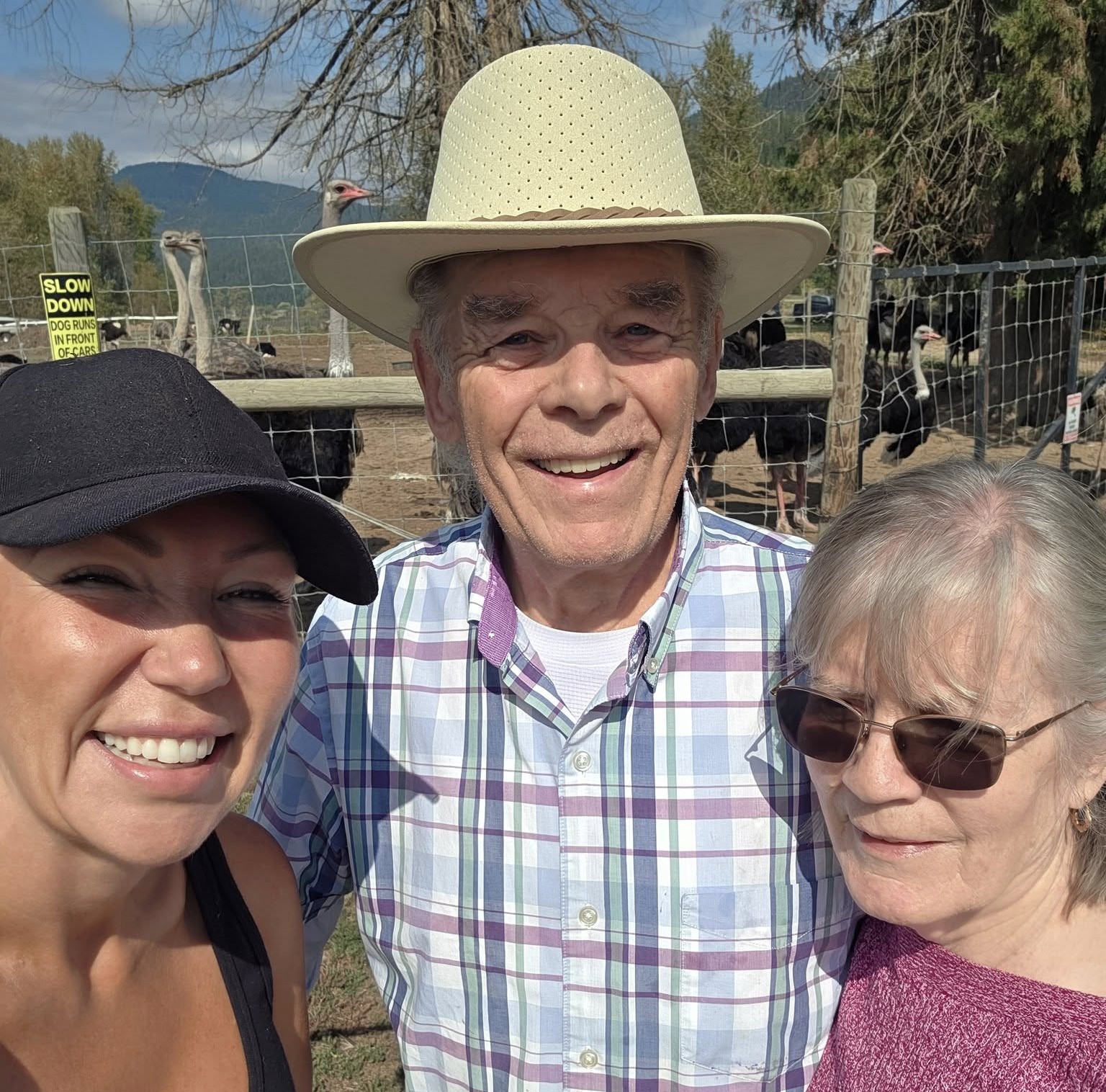 Canadian Supreme Court halts cull of ostriches at farm - Lynnwood Times