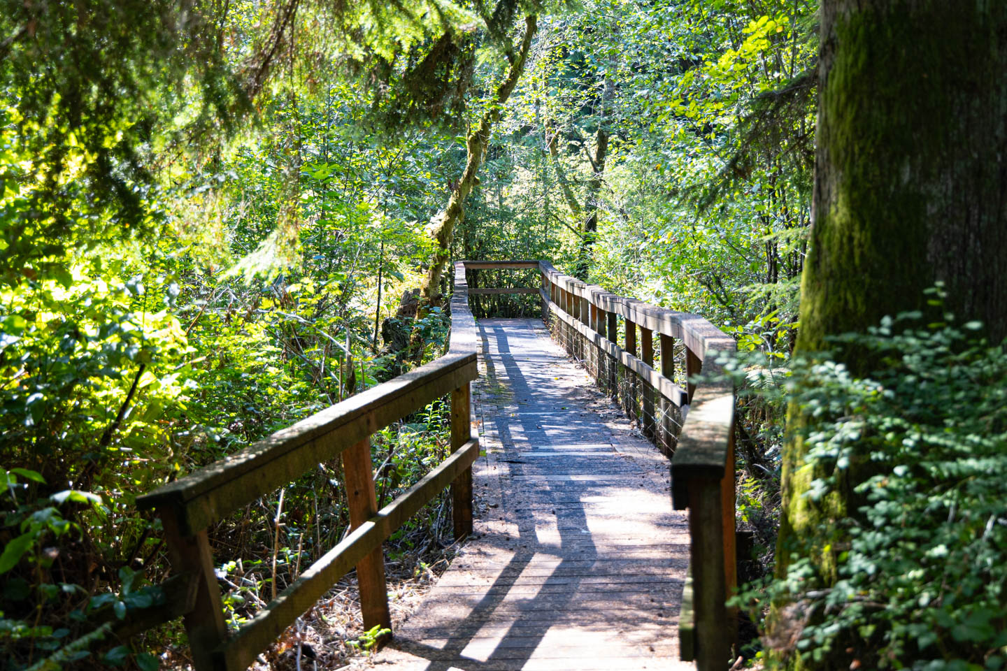 Marysville restores Deering Wildflower Park following storm damage ...