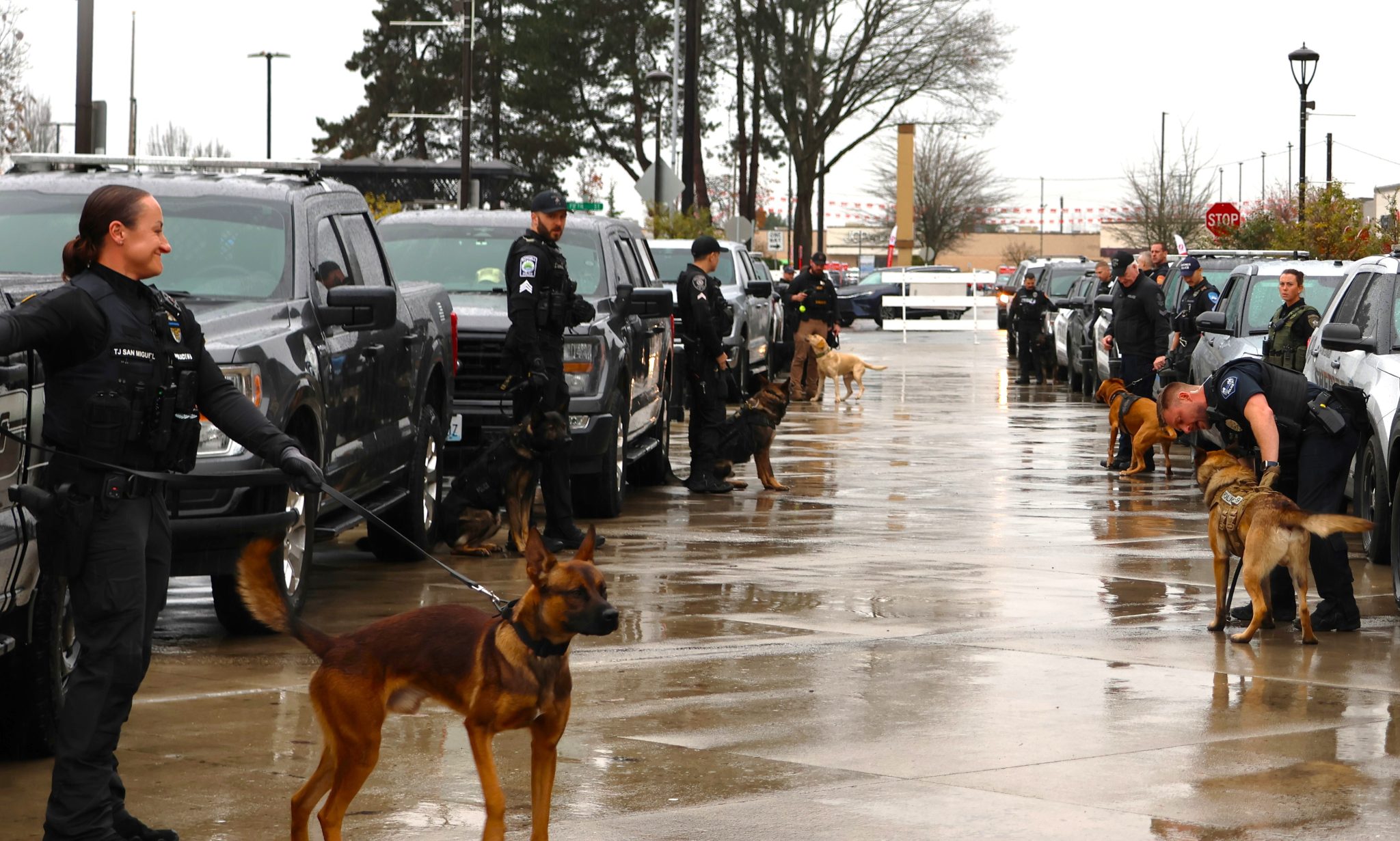 Marysville holds memorial for two fallen K9 units - Lynnwood Times